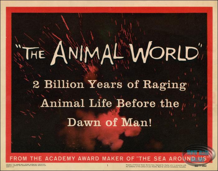 Animal World Lobby Card